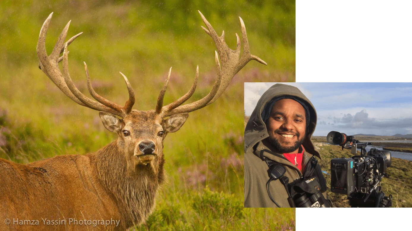 Wildlife Cameraman Hamza Yassin at Great British Speakers